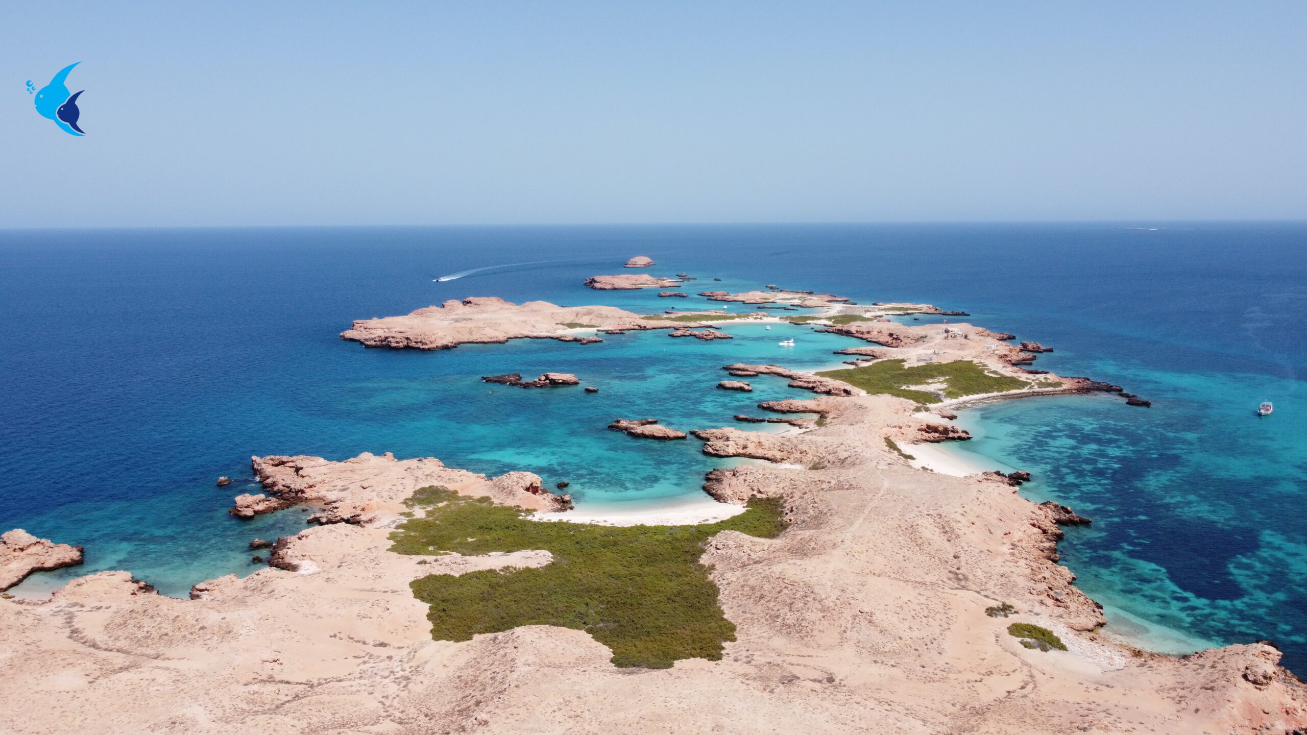 Explore Oman’s Best Dive Sites & Ocean Adventures